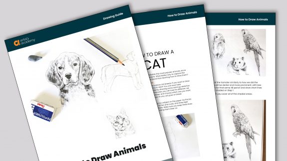 Drawing Guides | Artist's Academy