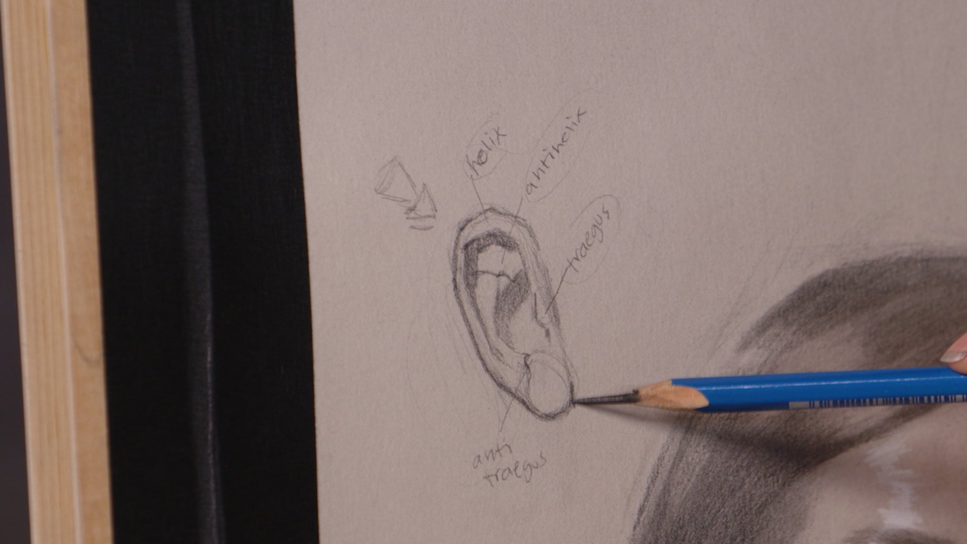 Rendering an Ear | Artist’s Academy