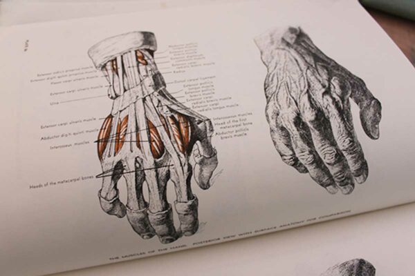 How to Draw Lifelike Hands in 4 Steps | Artist's Academy