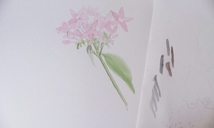 Mixed Media Flower Drawings Are Spring On a Page | Craftsy