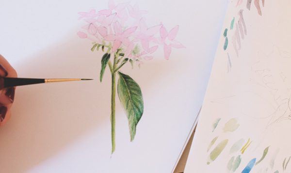 Mixed Media Flower Drawings Are Spring On a Page | Craftsy