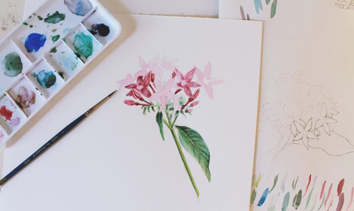 Mixed Media Flower Drawings Are Spring On a Page | Craftsy