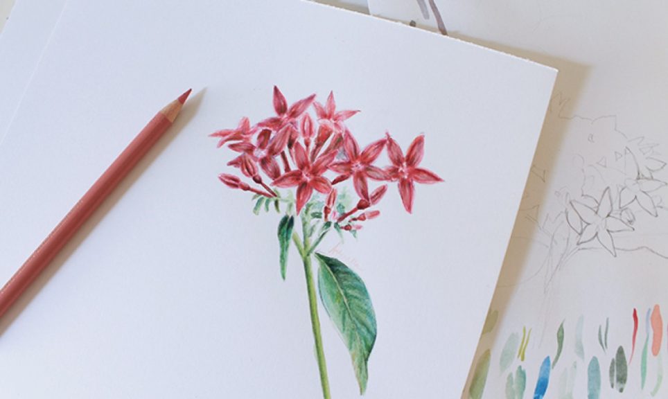 Mixed Media Flower Drawings Are Spring On a Page | Craftsy
