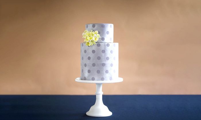 Cakes That Shine: Using Edible Glitter and Paint | Craftsy