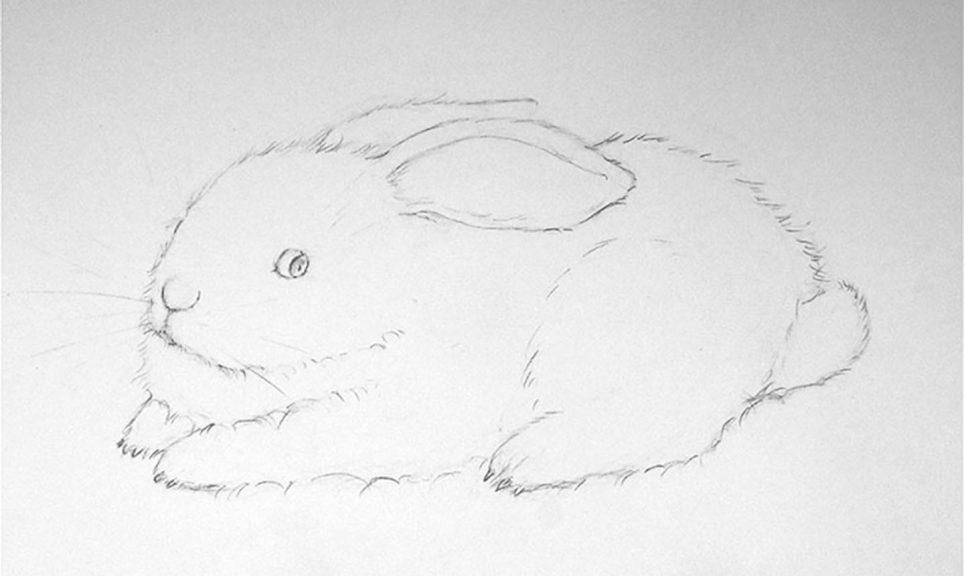 Learn How to Paint a Beautiful Bunny | Craftsy