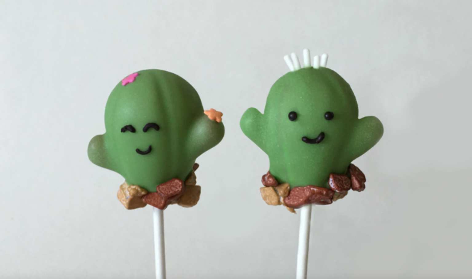 Cactus Cake Pops: Free Tutorial on Craftsy | Craftsy