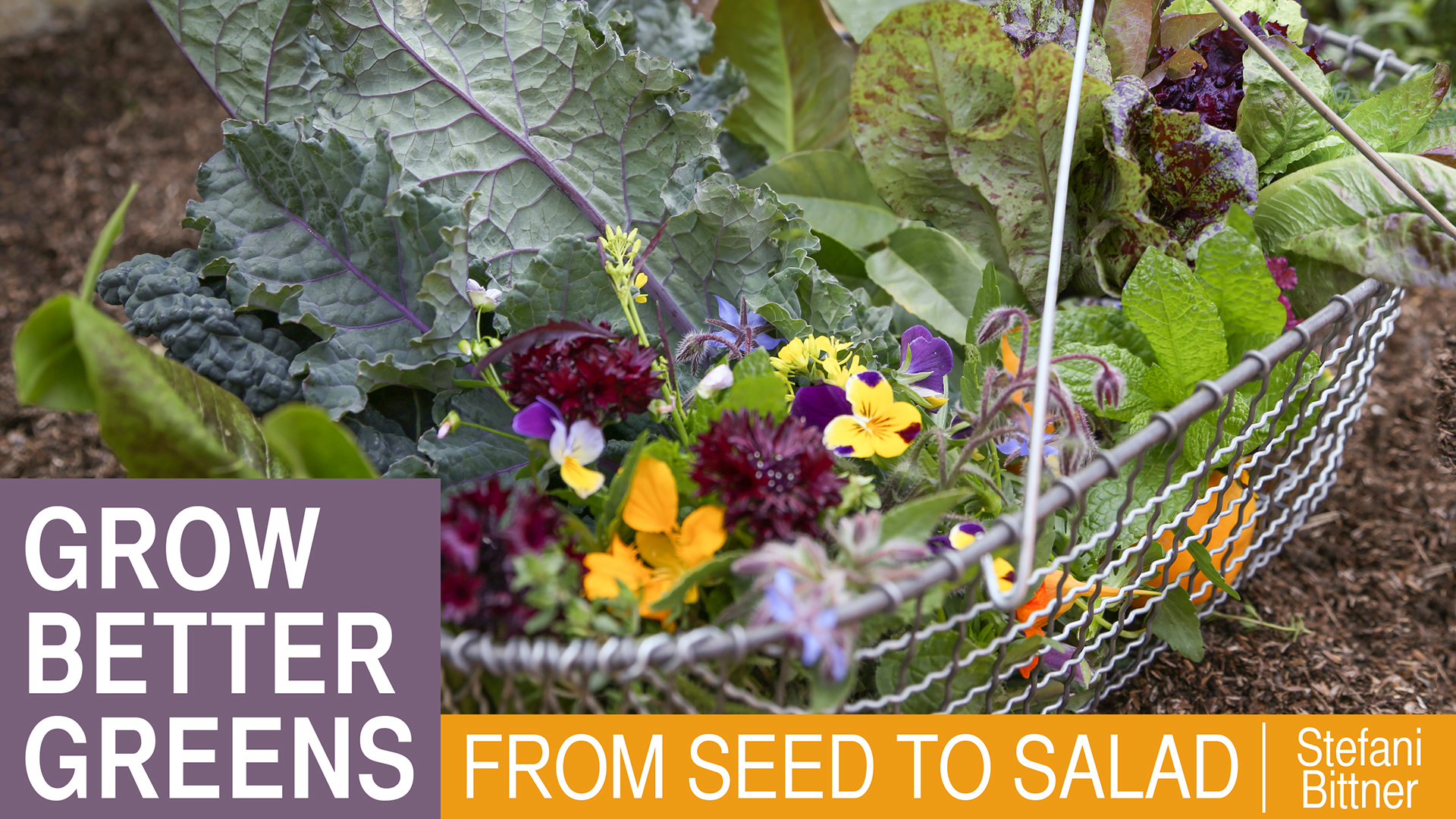 Grow Better Greens: From Seed to Salad | Craftsy
