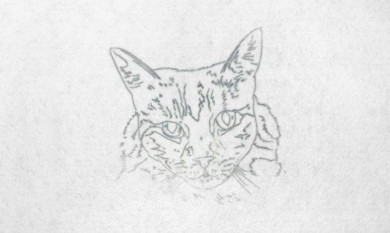 How to Needle Felt Your Pet for a Unique Keepsake | Craftsy