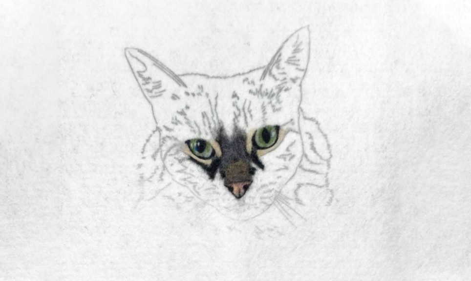 How to Needle Felt Your Pet for a Unique Keepsake | Craftsy