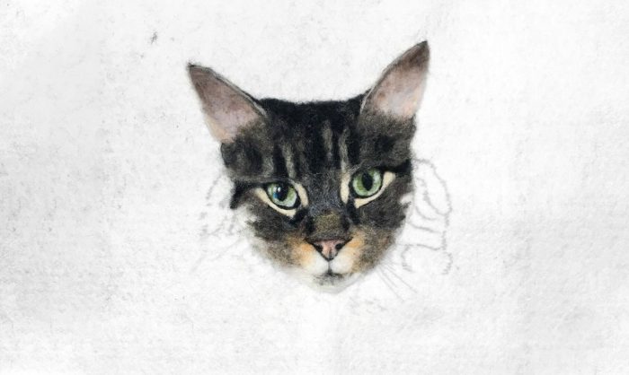 How to Needle Felt Your Pet for a Unique Keepsake | Craftsy