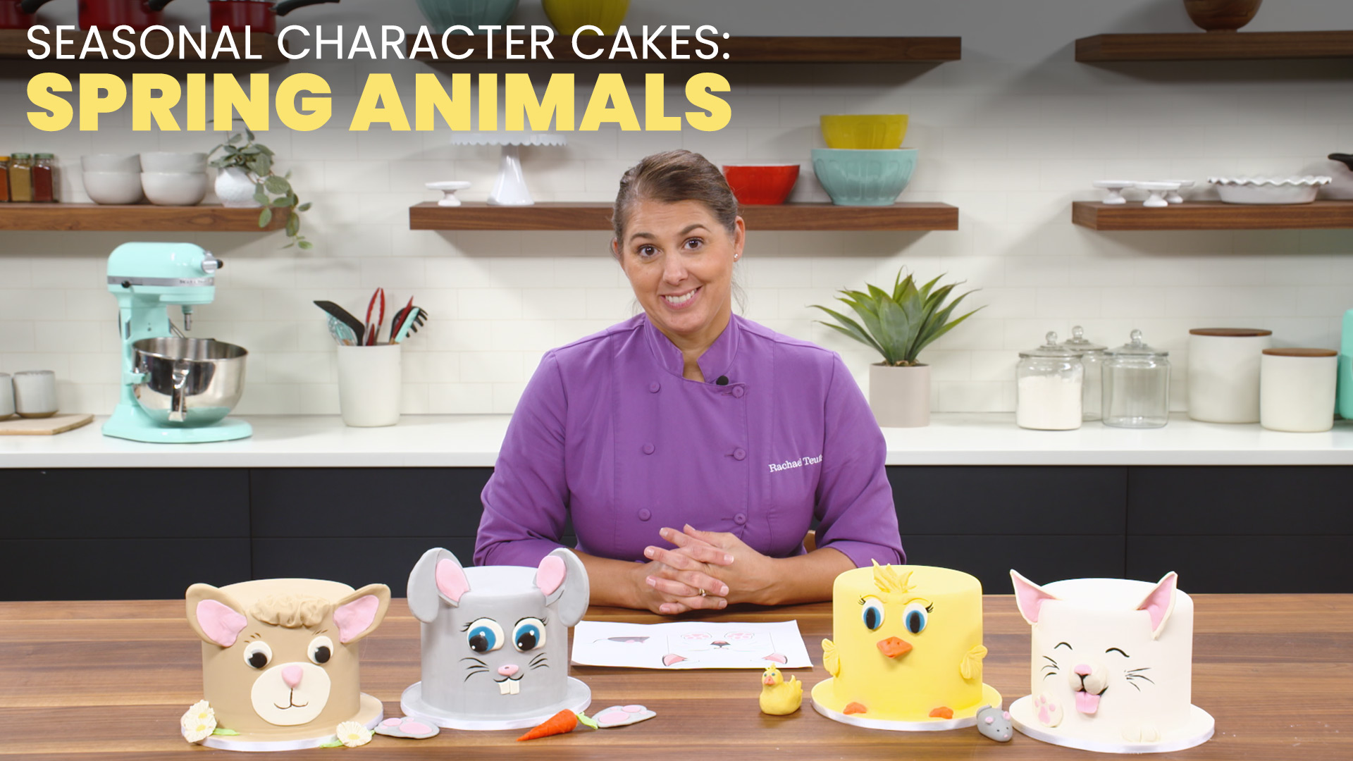 Seasonal Character Cakes - Spring Animals | Craftsy