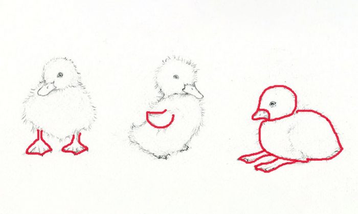 Cómo dibujar y pintar un patito adorable | Craftsy Espanol