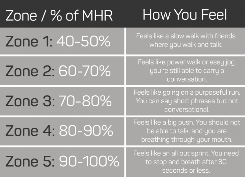 A Complete Guide to Heart Rate Monitoring | Get Healthy U TV
