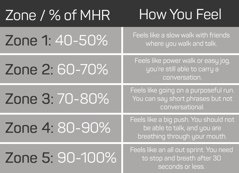 A Complete Guide To Heart Rate Monitoring Get Healthy U TV