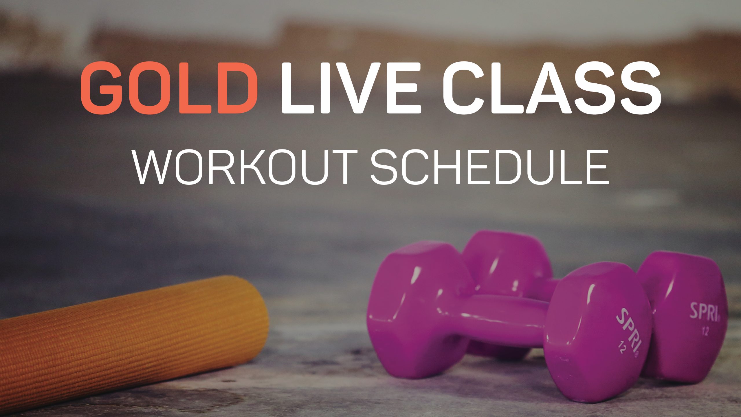 GOLD Monthly Workout Schedule | GHUTV | www.gethealthyutv.com