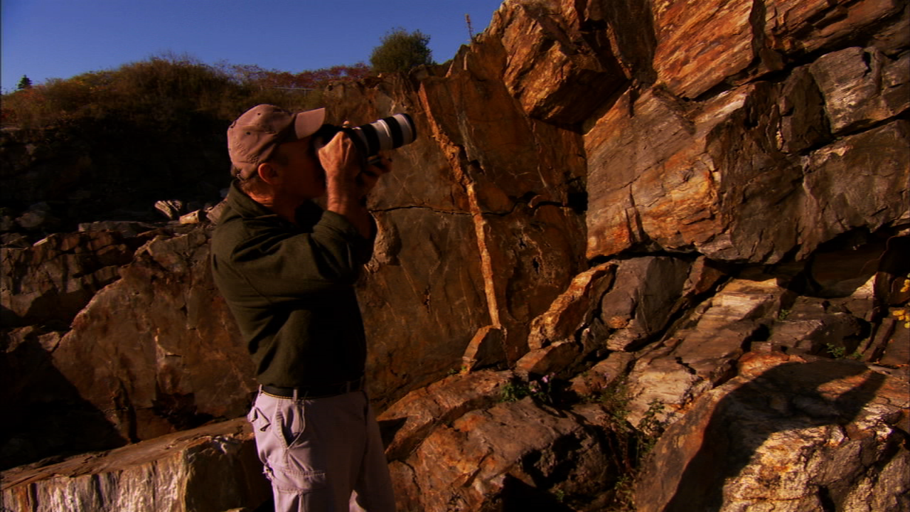 Hidden Color in Photography: What You Might Not Normally See | Craft ...