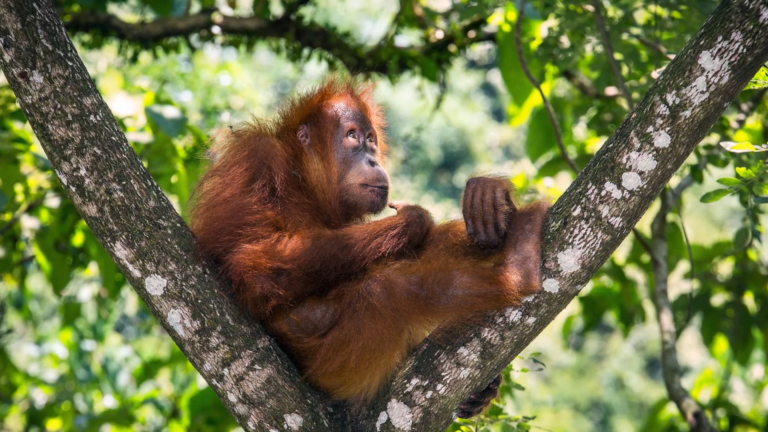 Creating High Concept Photographs | Craft And Hobby