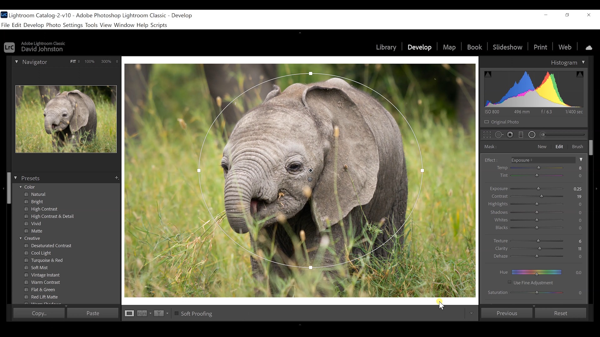 How to Make Your Subjects Pop in Post-Processing