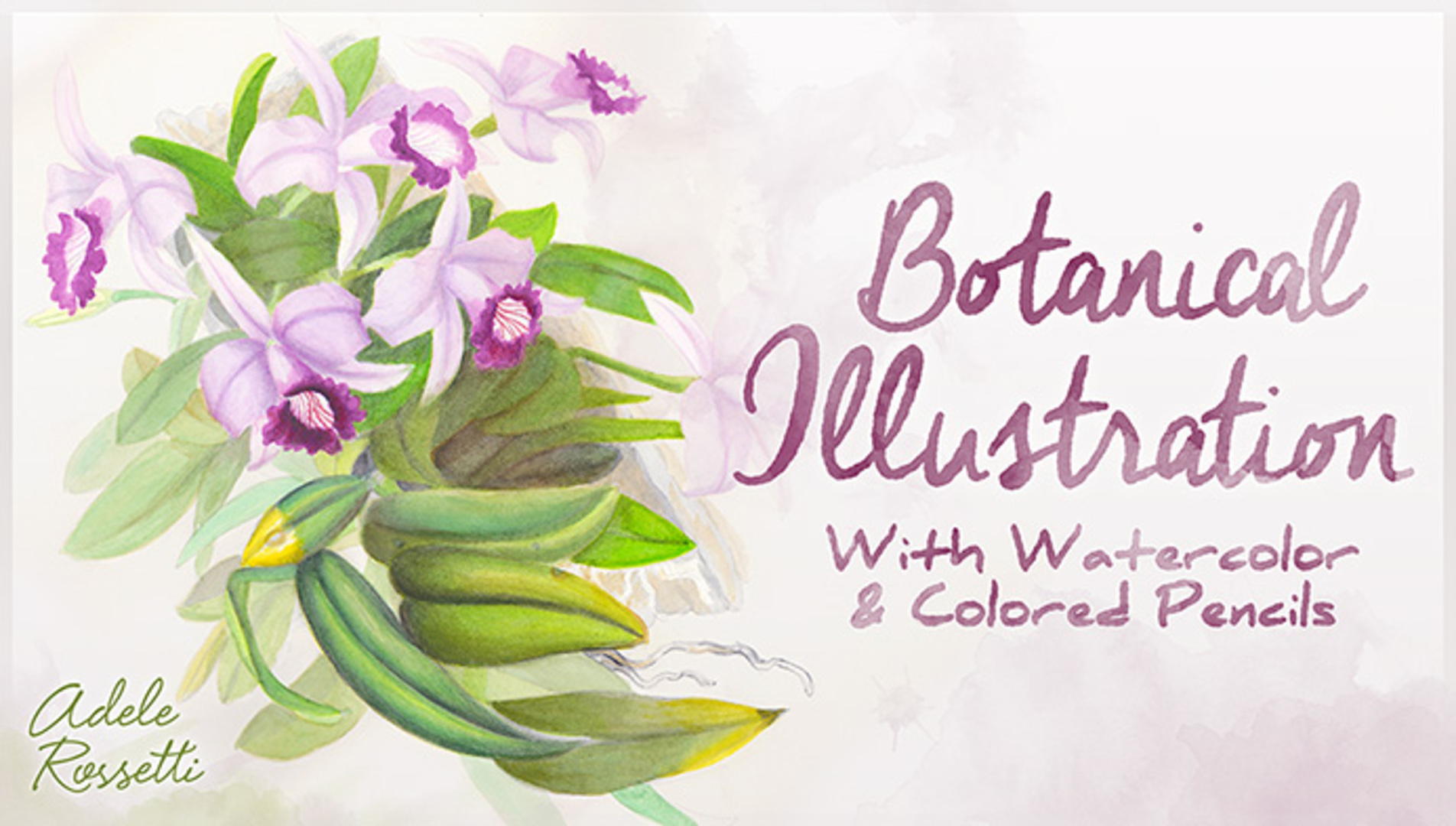 Botanical Illustration: With Watercolor & Colored Pencils | Craft And Hobby