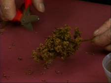 Bill Henderson’s Coal Belt Railroad Video Download | Model Railroad Academy