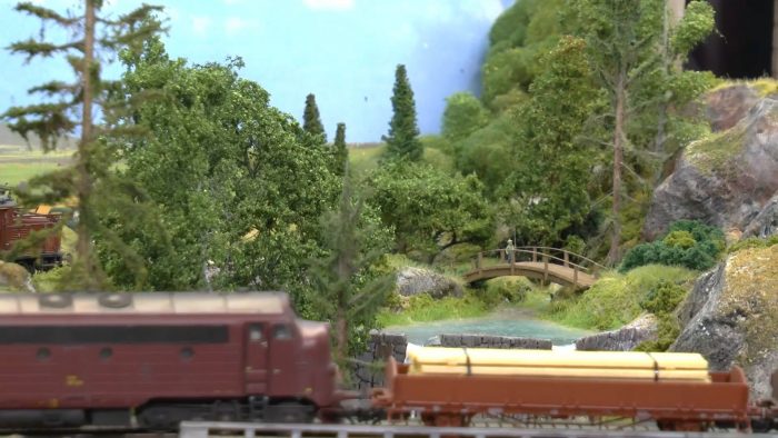 Comprehensive Guide to Model Tree Making Class + DVD | Model Railroad ...