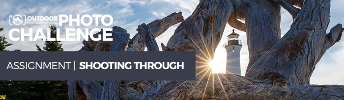 Photo Challenge Assignment: Shooting Through | Outdoor Photography Guide