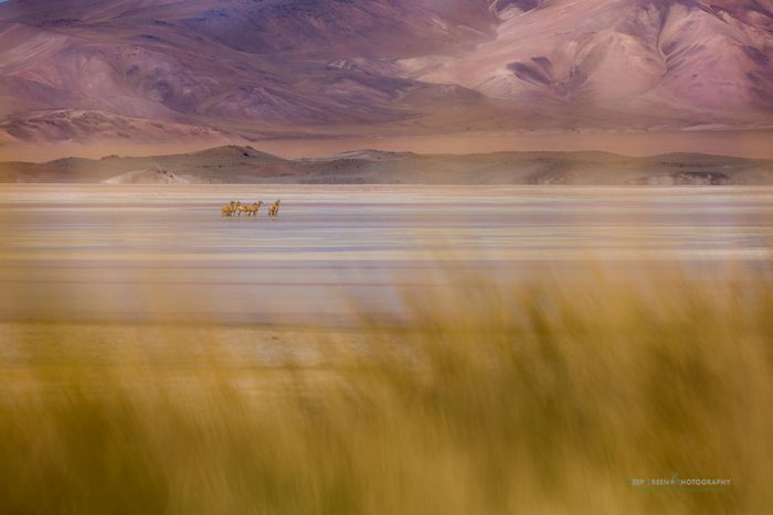 Photo Challenge Assignment: Shooting Through | Outdoor Photography Guide