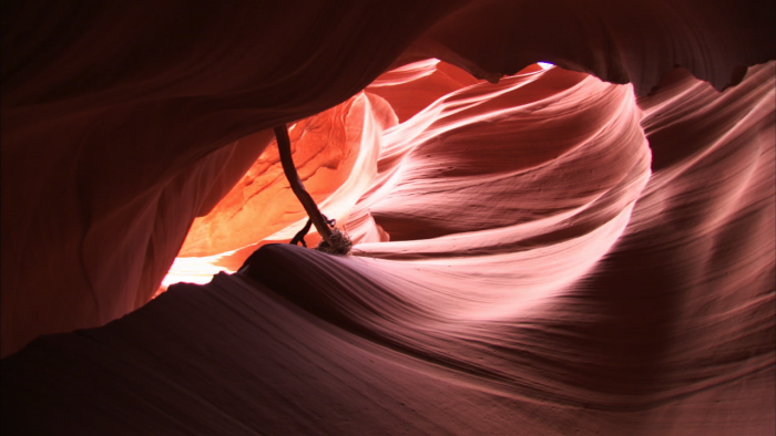 How to Compose Intimate Scenes | Outdoor Photography Guide