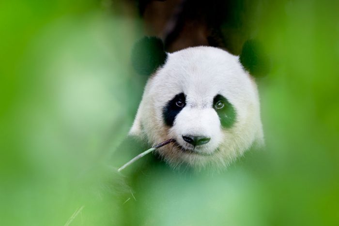 Meet the Photographer: Richard Bernabe | OPG Contributor | Outdoor ...