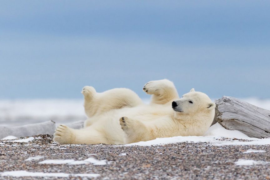 Meet the Photographer: Richard Bernabe | OPG Contributor | Outdoor ...