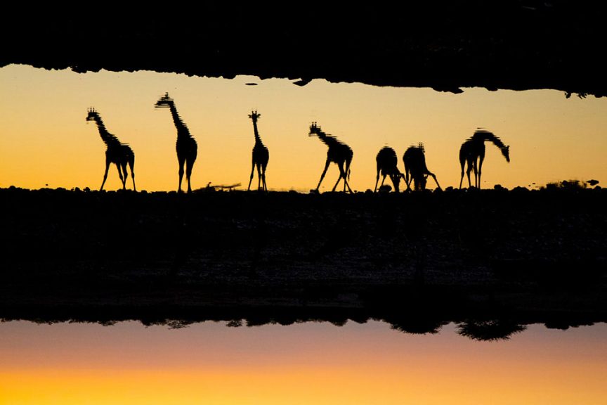 Meet the Photographer: Richard Bernabe | OPG Contributor | Outdoor ...