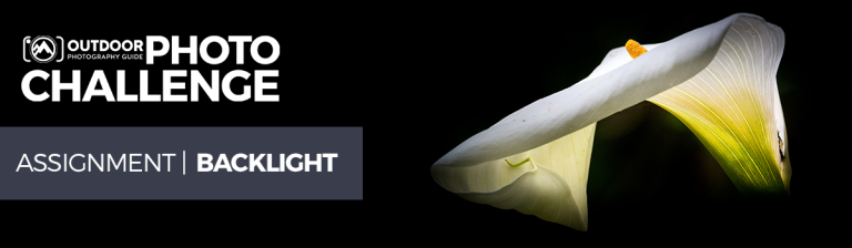 Photo Challenge Assignment: Backlight | Outdoor Photography Guide