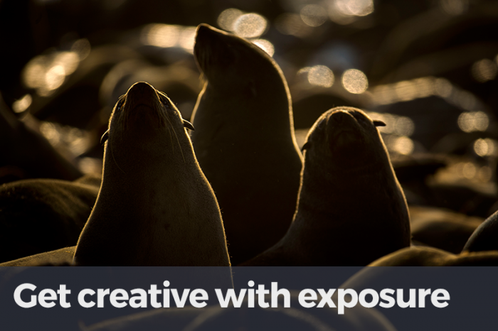 Photo Challenge Assignment: Backlight | Outdoor Photography Guide