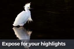 Photo Challenge Assignment: Backlight | Outdoor Photography Guide