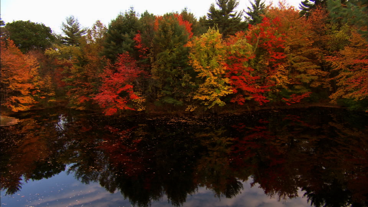 Shooting a Pond Using Reflections Photography | OPG | Outdoor ...