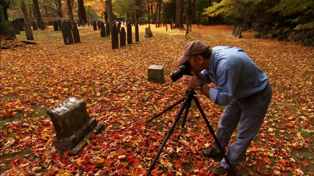 Using Symmetry in Photography for Great Outdoor Shots | Outdoor ...