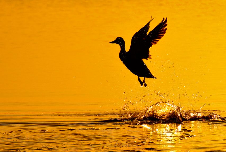 Meet the Photographer: Jared Lloyd | Outdoor Photography Guide