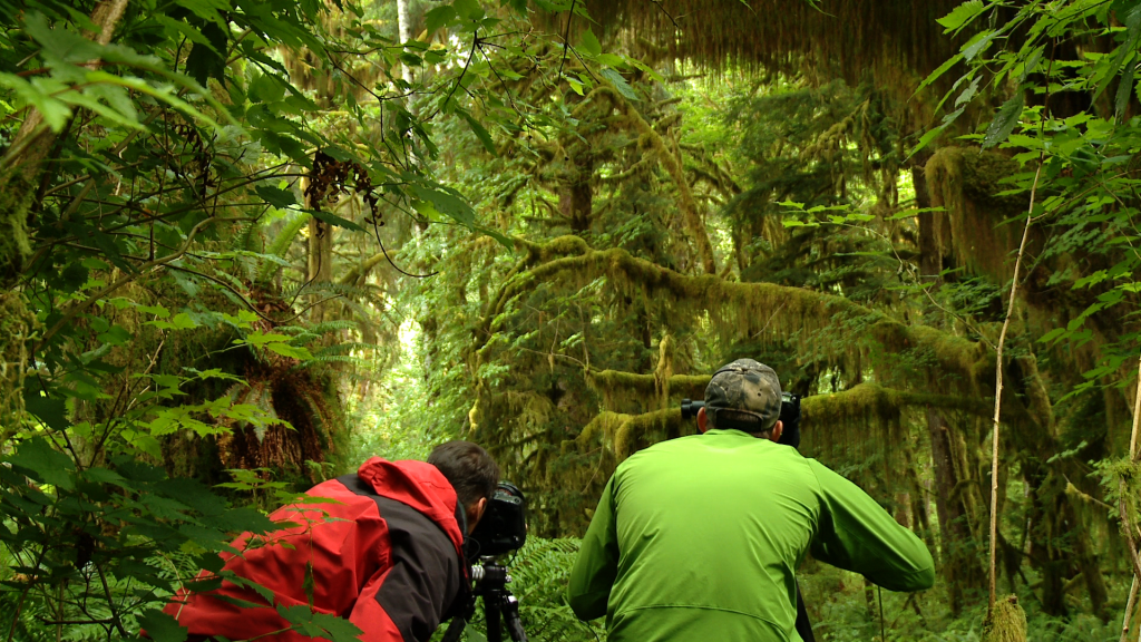 Using a Telephoto Lens to Capture Compression Images | OPG | www ...