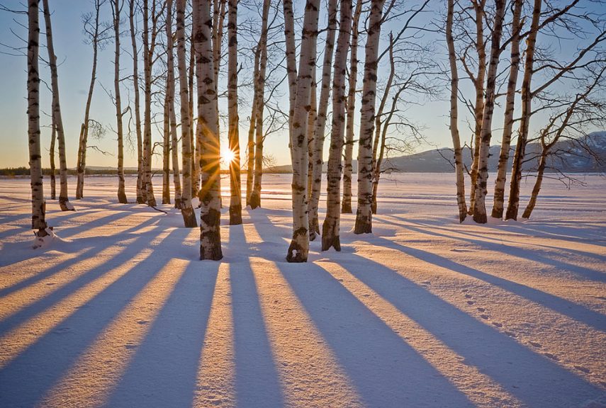 Essential Gear and Tips for Winter Photography | OPG | Outdoor ...