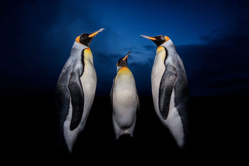 Photo Composition Tip: Three Subjects is the Magic Number | OPG ...