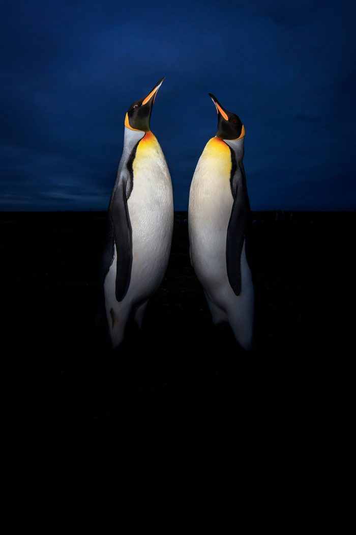 Photo Composition Tip: It Takes Two | Outdoor Photography Guide