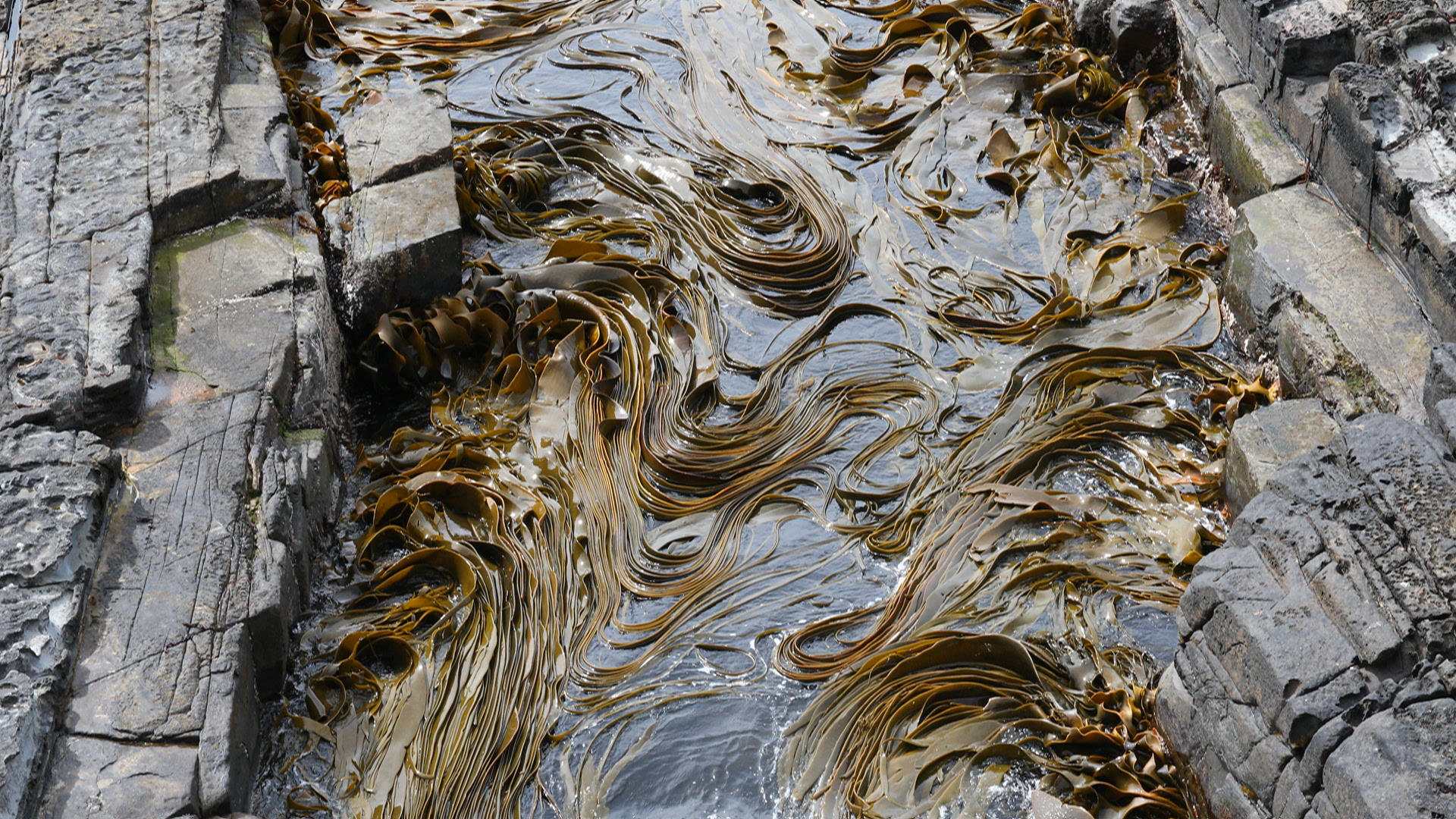 Quick Tips for Capturing Abstract Objects and Shapes | OPG | Outdoor ...