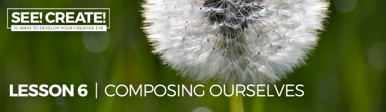 Lesson 6: Composing Ourselves | Outdoor Photography Guide