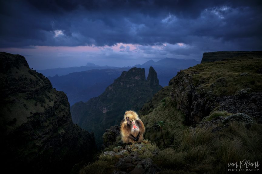 The Best Times to Take Outdoor Photos | Outdoor Photography Guide