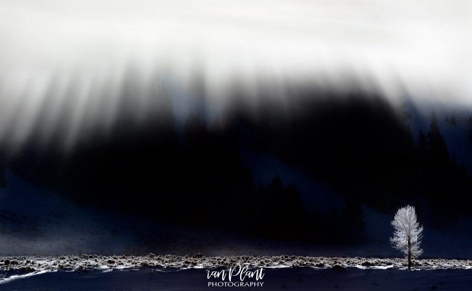 Tips to Photographing Light as Your Subject | OPG | Outdoor Photography ...