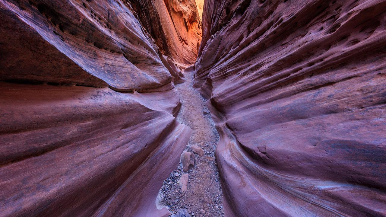 Ground Level Setup for Your Tripod | Outdoor Photography Guide