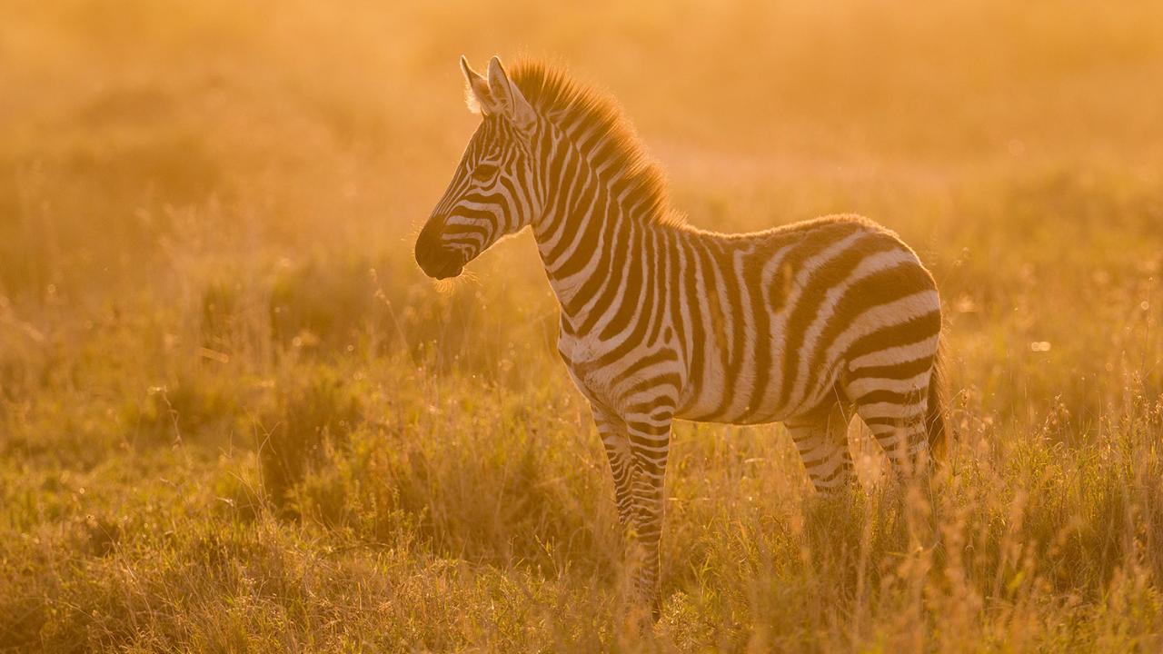 Best Camera Lens For Outdoor Photography at Evelyn Hampton blog