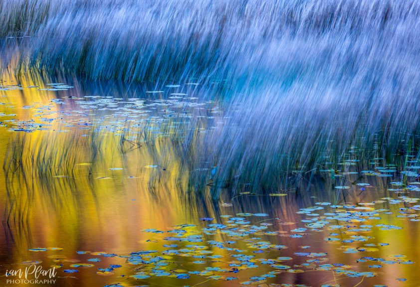 Photographing Water: Ideas for Making Great Photos | OPG | Outdoor ...