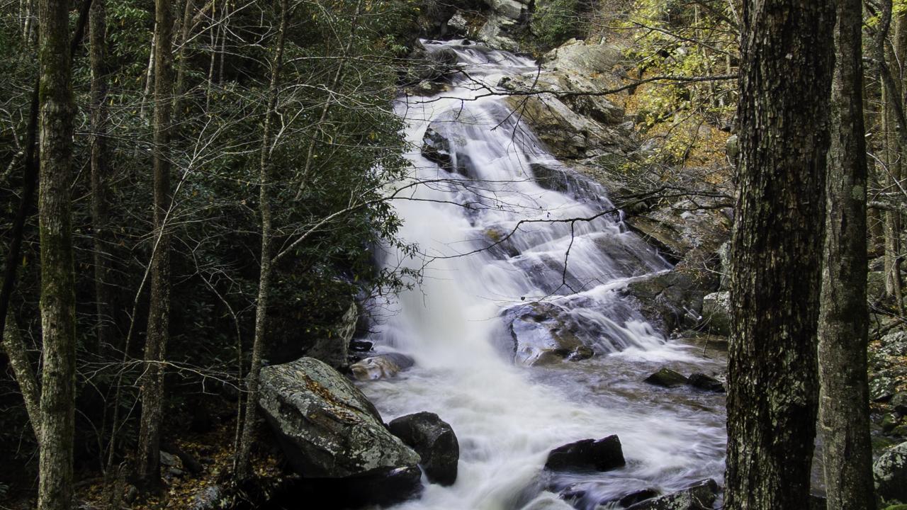 Shooting with Focus Stacking in the Field | Outdoor Photography Guide ...