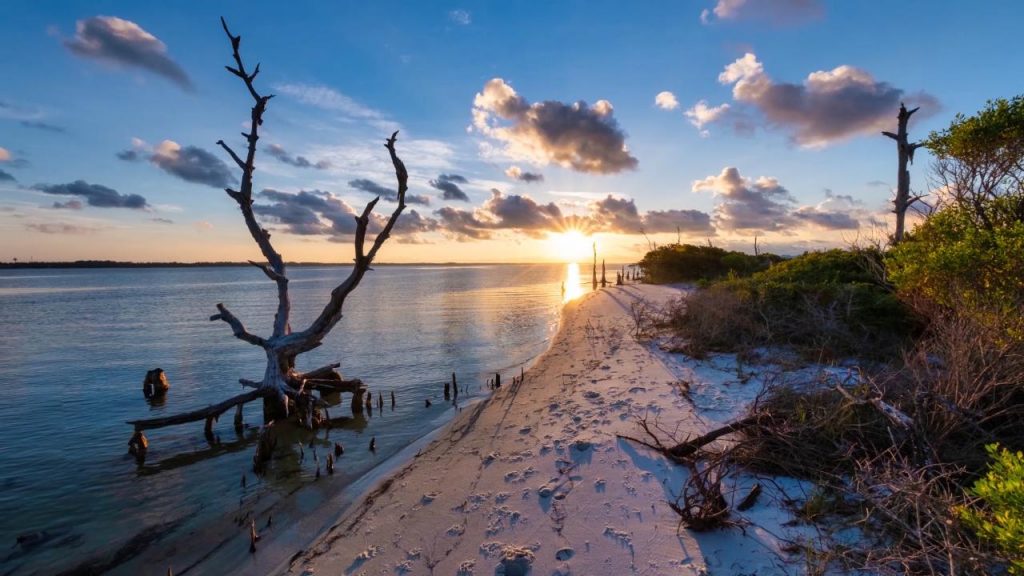 Outdoor Photography Tips to Improve Your Skills | OPG | Created by ...